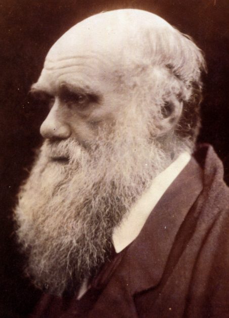 It Started With Darwinism : The Other McCain